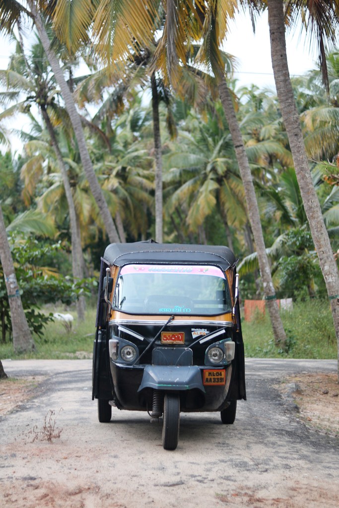 5 tips for special things to see and do in Kerala – AND A THOUSAND WORDS